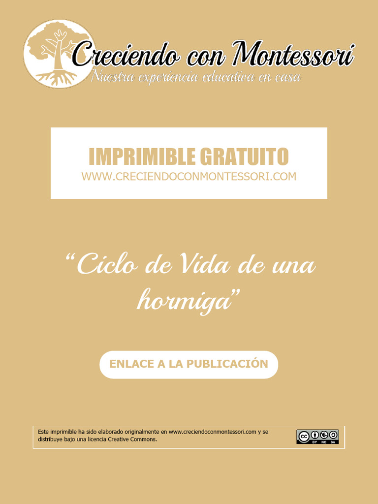 Ciclo de Vida de una Hormiga Imprimible | PDF