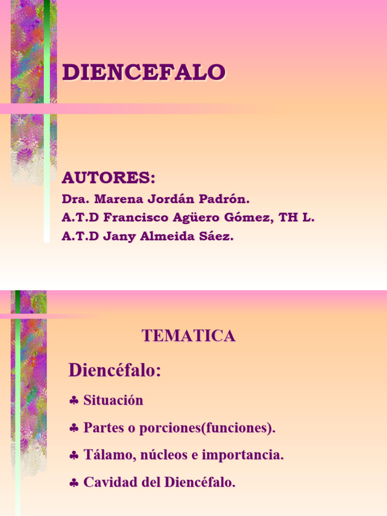 Dien Cefalo | PDF | Hipotálamo | Tálamo