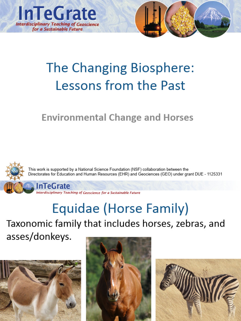 equidae_powerpoint.v8 | PDF | Equus (Genus) | Horses