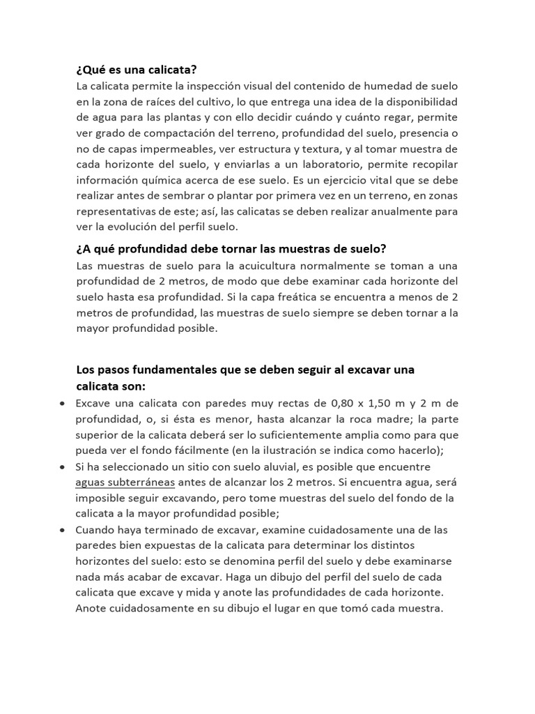 ¿Qué Es Una Calicata | PDF | Suelo | Riego