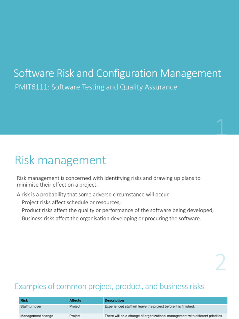 06.CM RM | Download Free PDF | Version Control | Risk