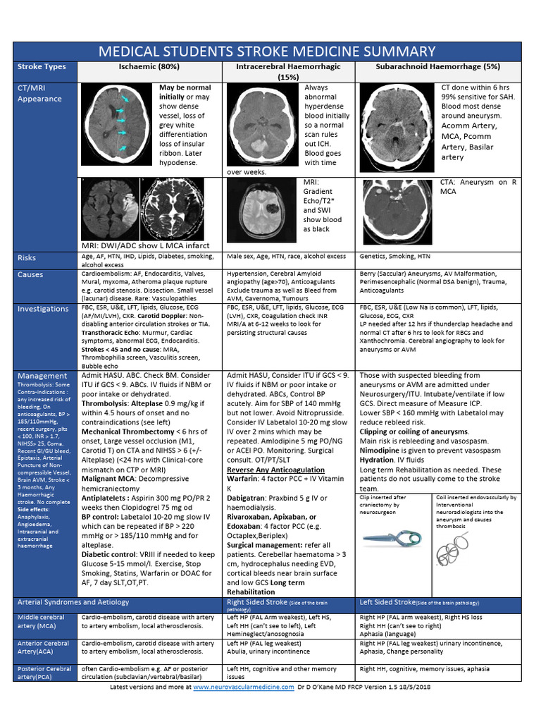 STROKE SUMMARY DOCUMENT FOR MEDICAL STUDENTS | PDF | Stroke | Causes Of ...