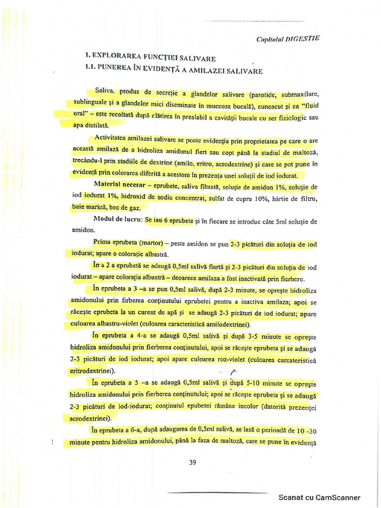 Saliva - Amilaza Salivara | PDF