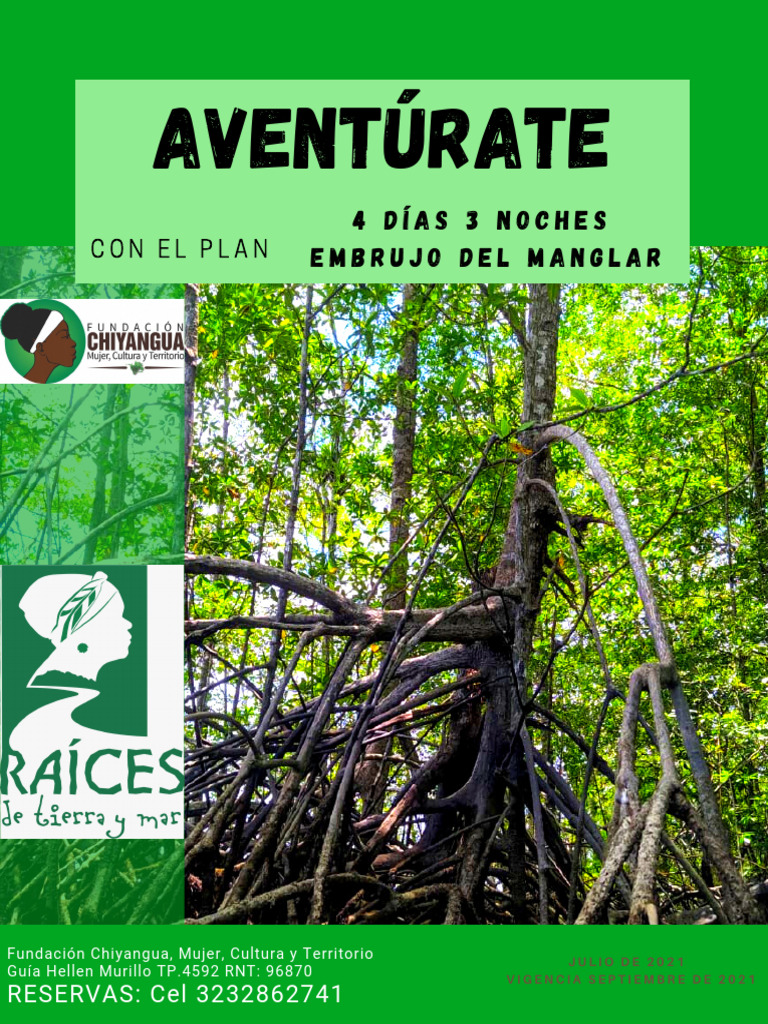 4 diasEMBRUJO DEL MANGLAR | PDF