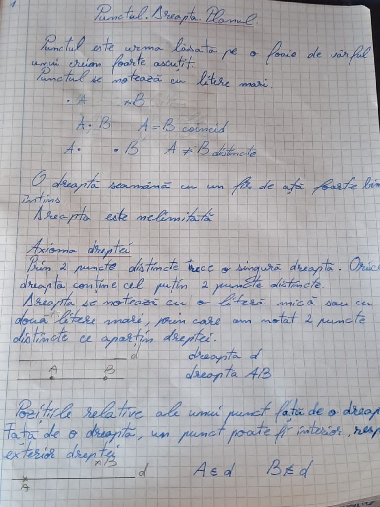 Portofoliu Geometrie Panescu Miruna | PDF