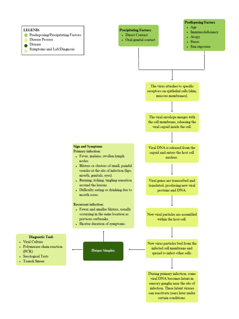 Herpes Simplex - Pathophysiology | PDF | Virus | Herpes Simplex