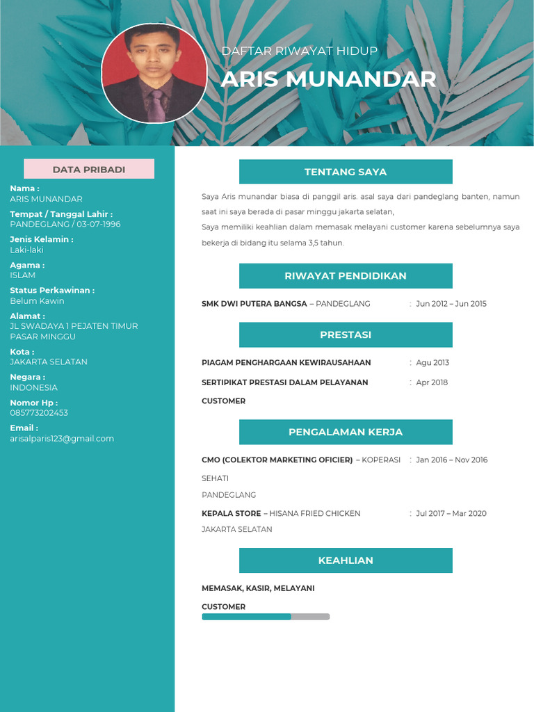 CV Aris Munandar | PDF