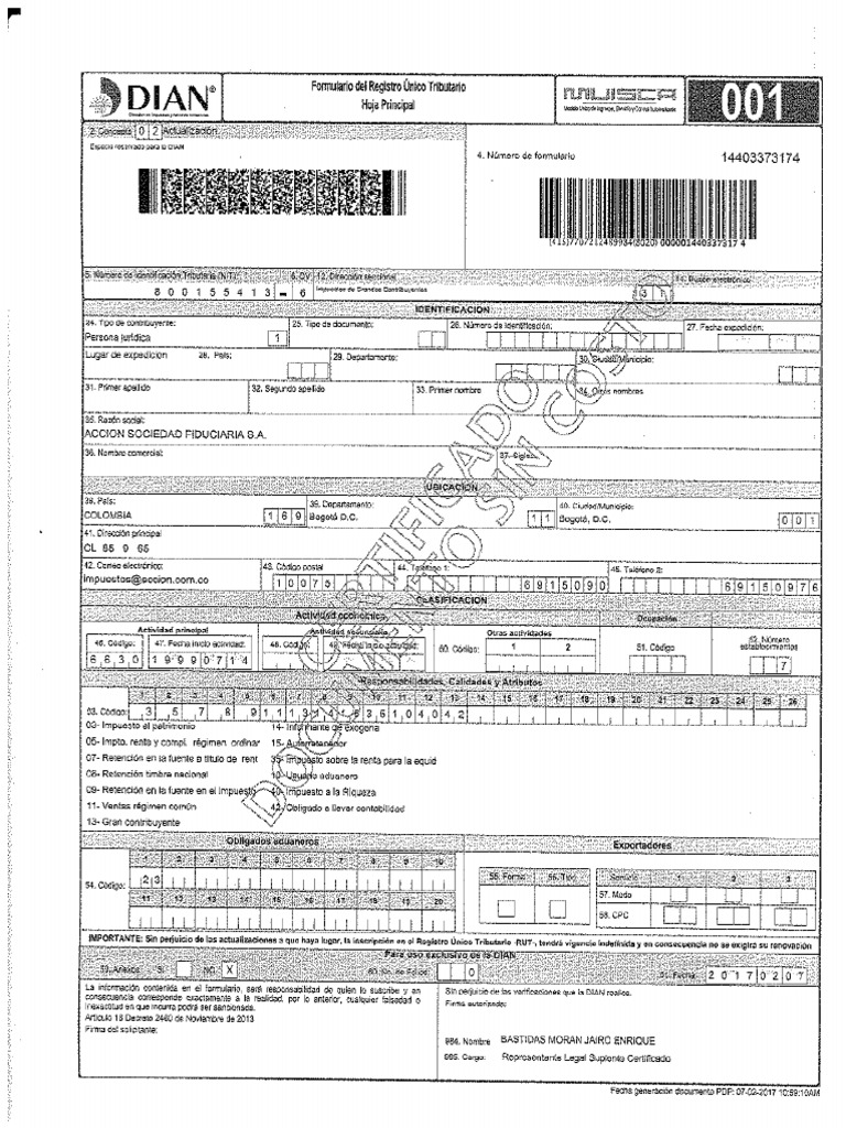 RUT Accion Fiduciaria | PDF