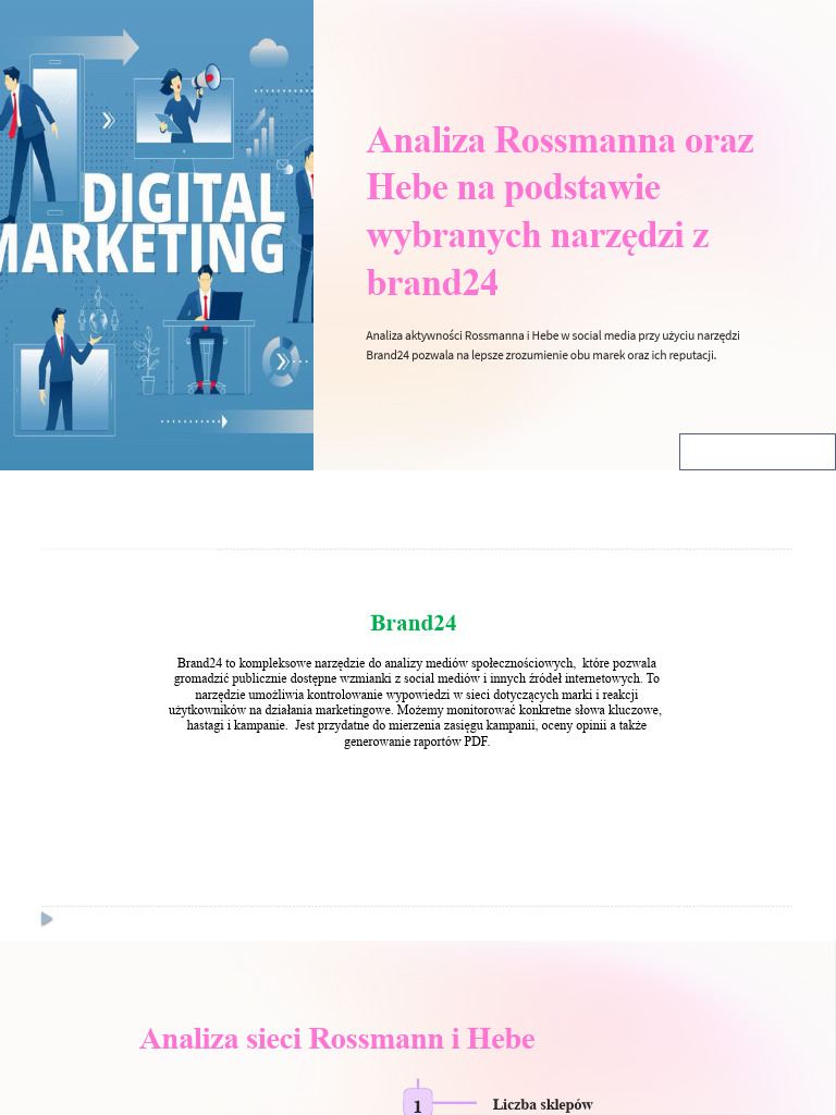 Analiza Rossmann I Hebe | PDF