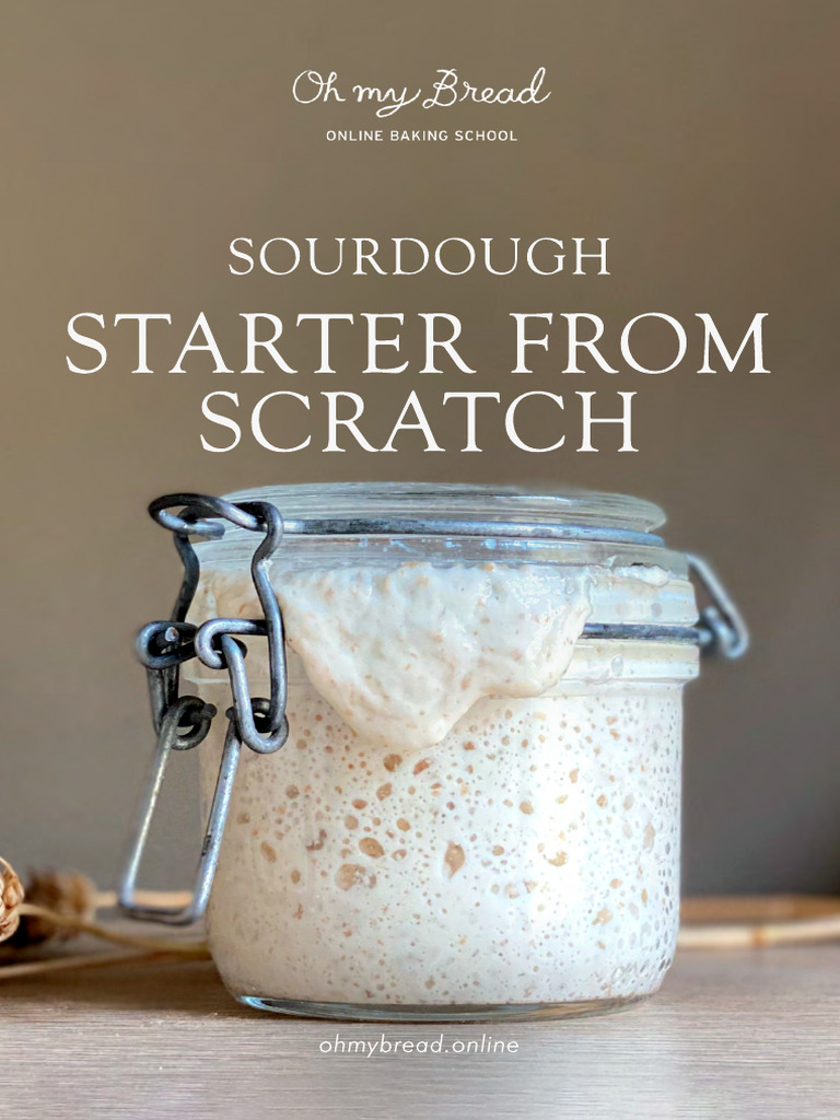 Starter Recipe OhmyBread | PDF | Sourdough | Breads