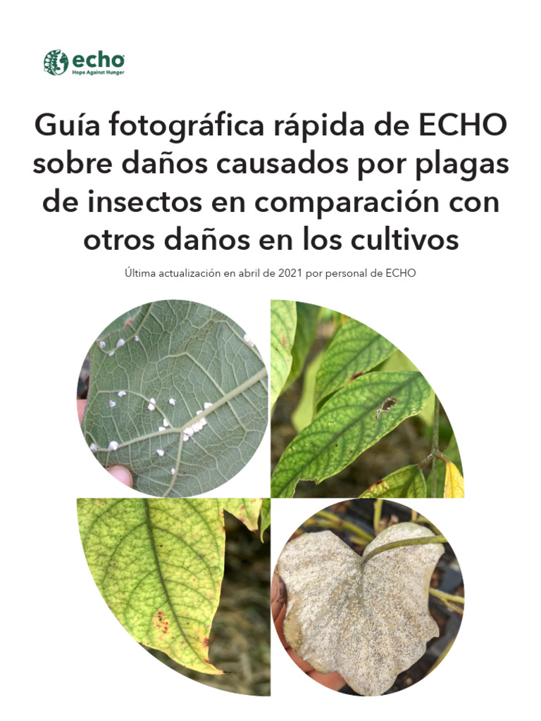 Guia Fotografica Rapida de Echo Sobre Danos Causados Por Plagas de ...