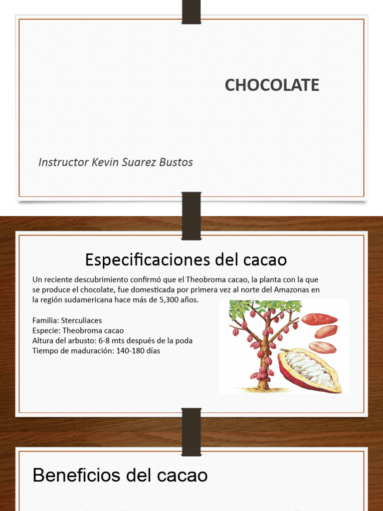 CHOCOLATE | PDF | Chocolate | Leche