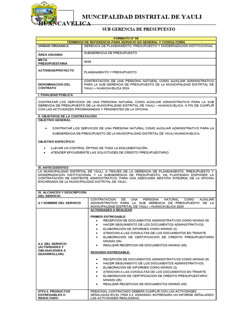 TDR Servicio | Descargar gratis PDF | Presupuesto