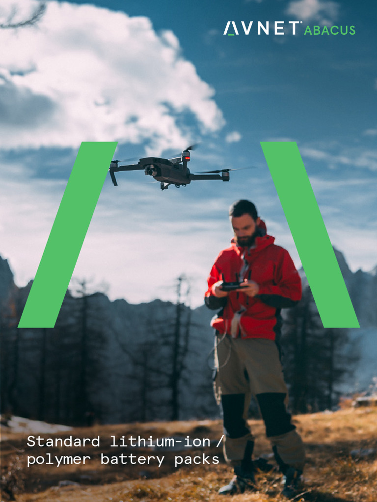 AvA Standard Batteries en Brochure | PDF | Lithium Ion Battery ...