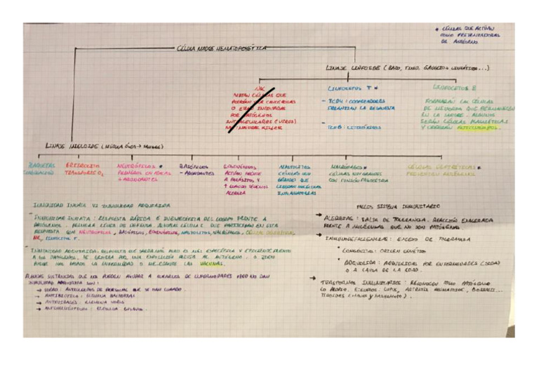 Mapa Conceptual Inmunología Pdf
