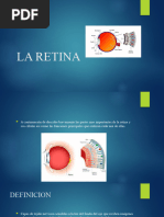 Capas de La Retina | PDF | Retina | Percepción visual