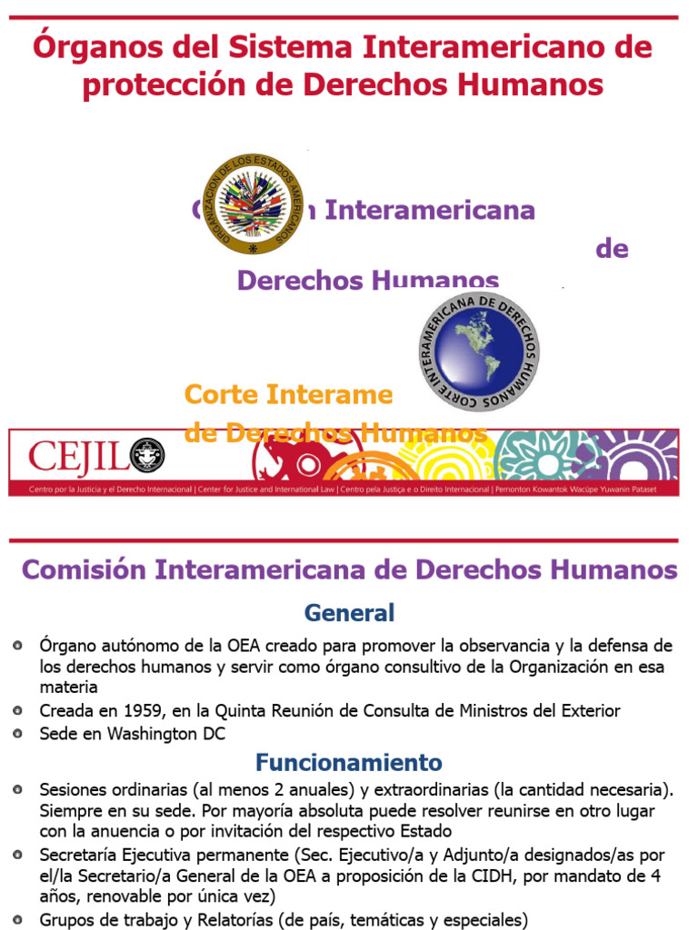 Órganos Del Sistema Interamericano De Protección De Derechos Humanos 8479