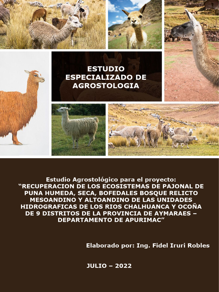 Estudio de Agrostología en Aymaraes | PDF | Humedal | Pasto