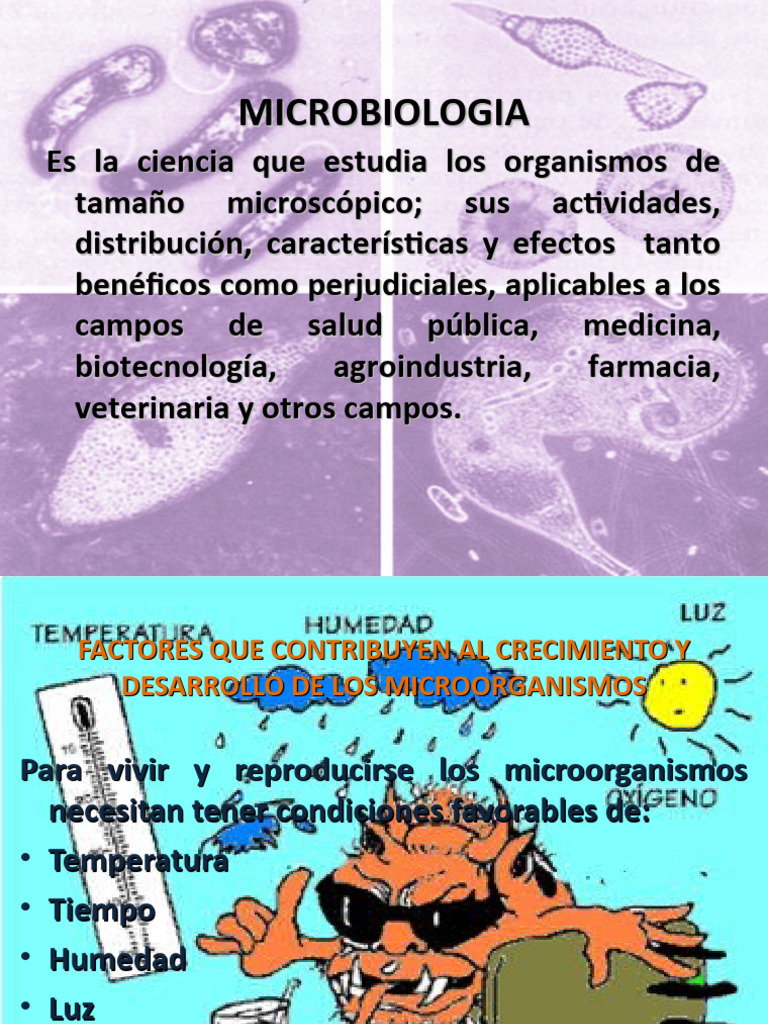 Factores en el Crecimiento Microbiano | PDF | Alimentos | Agua