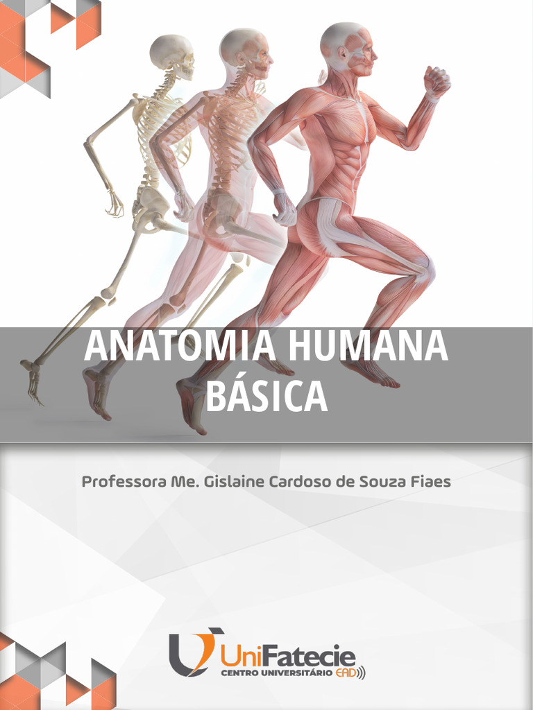 Anatomia Humana Básica | PDF | Esqueleto | Músculo esquelético