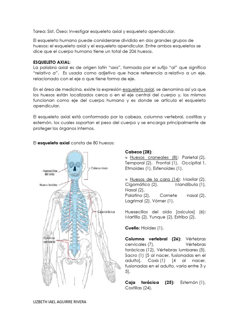 U-II.1 ESQUELETO AXIAL Y APENDICULAR (Tarea) | PDF | Esqueleto | Pelvis