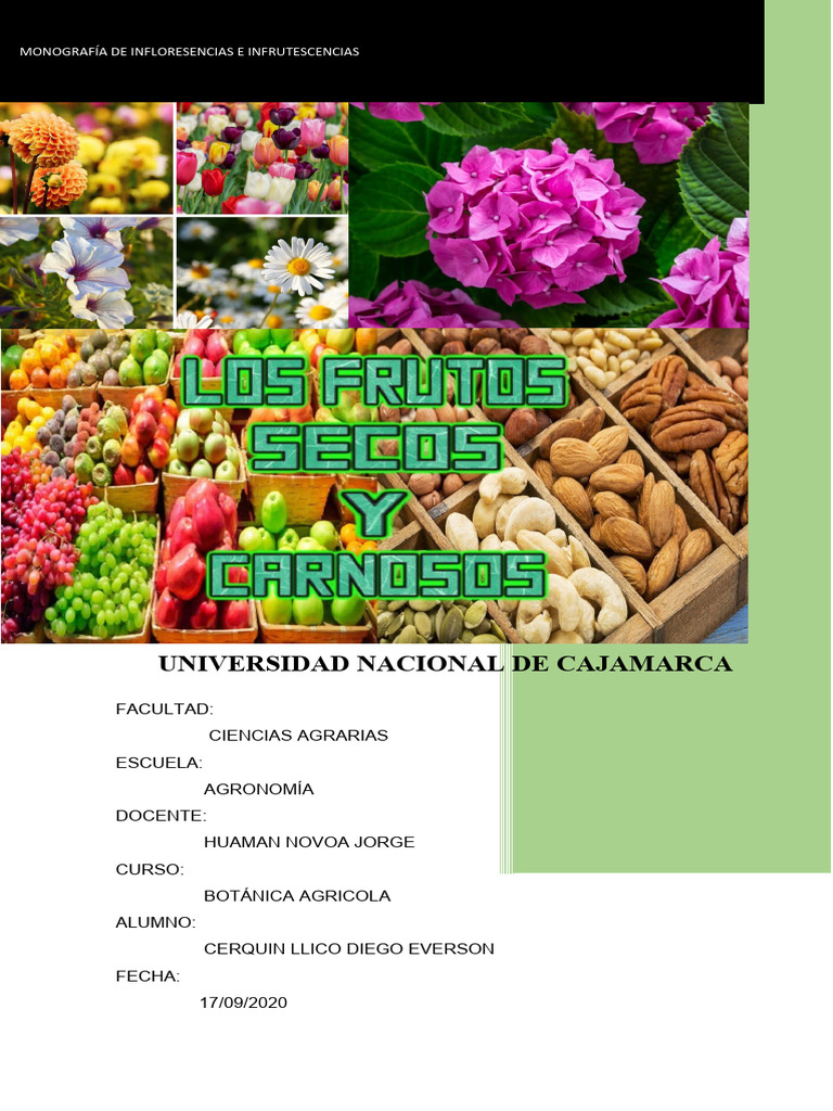 Inflorescencia Botanica | PDF | Fruta | Técnicas hortícolas