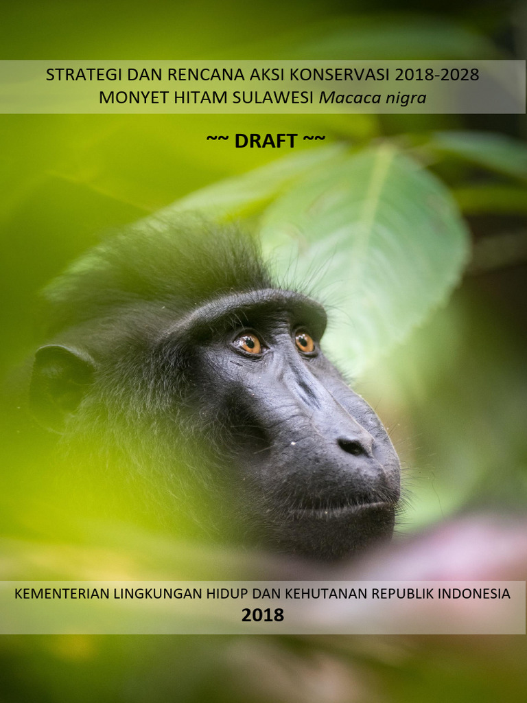 YSYI EPASS Del 3.4 SRAK Macaca Nigra FINAL IND | PDF