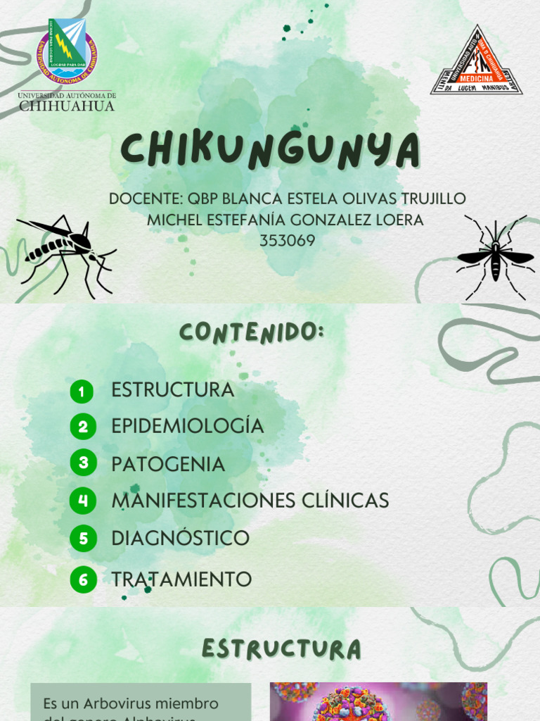 CHIKUNGUNYA | PDF | Inflamación | Virus