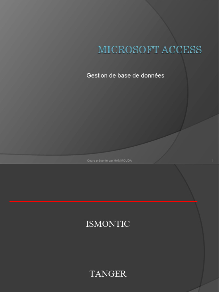 chapitre1 | PDF | Bases de données | Microsoft Access