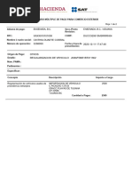 Formato Amda PF | PDF