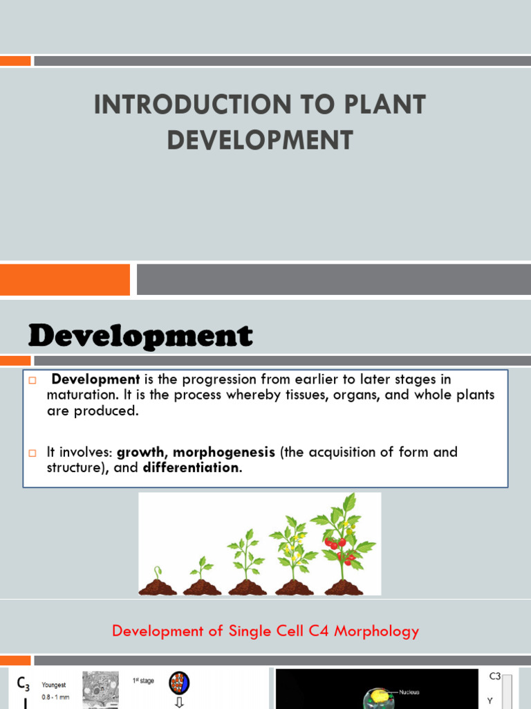 BIO109P Module 1. Introduction to Plant Development | PDF | Seed | Fertilisation