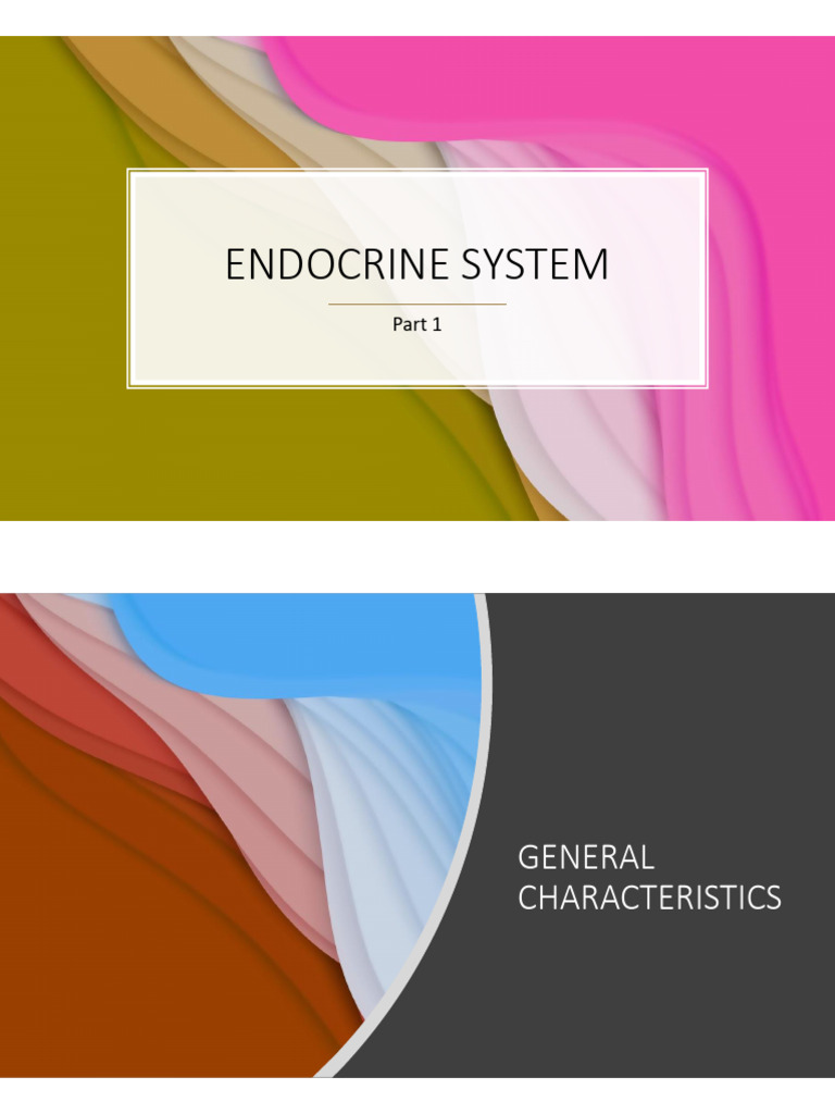 Endocrine System | PDF | Hormone | Endocrine System
