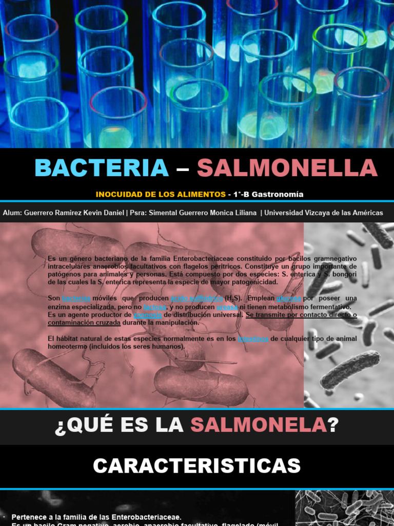 Salmonella - 1 | PDF | Salmonela | Carne