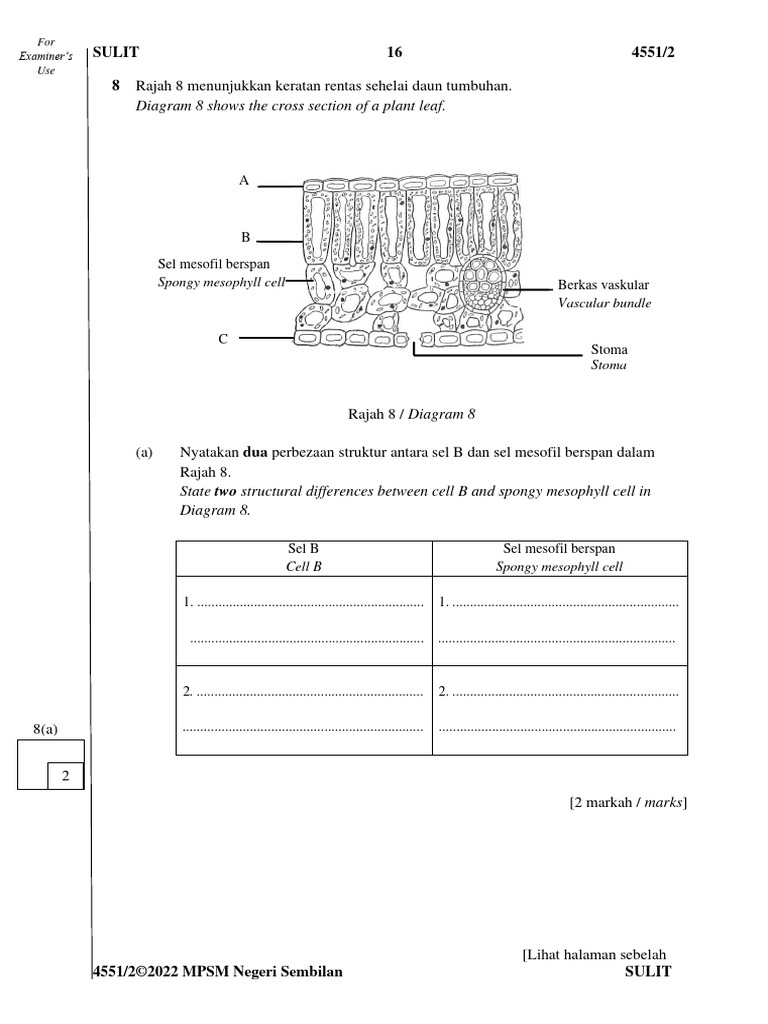 Bahan MMI BIO F5 | PDF | Physiology | Morphology (Biology)