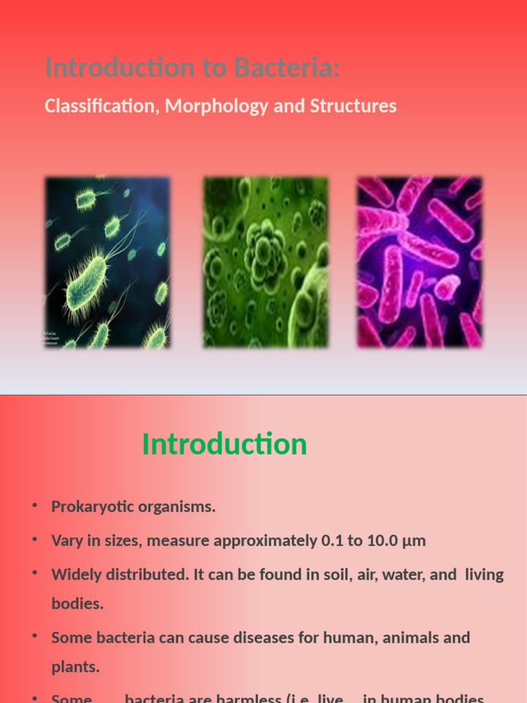 Bacterial Classification As To Characteristics | PDF | Bacteria | Cell (Biology)