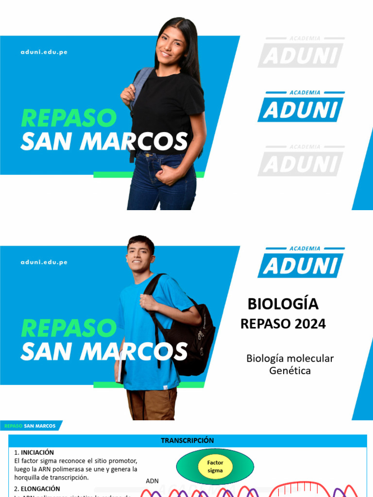 RSM Bi TS004 | PDF | Traducción (biología) | Codigo genetico