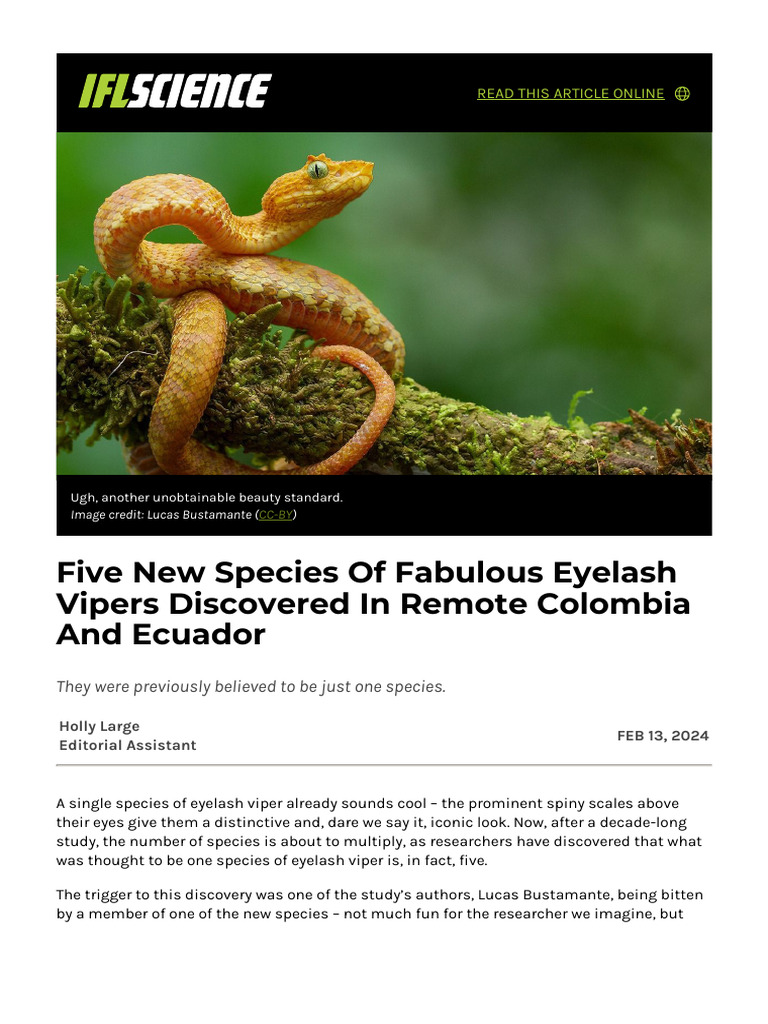 Five New Species of Fabulous Eyelash Vipers Discovered in Remote ...