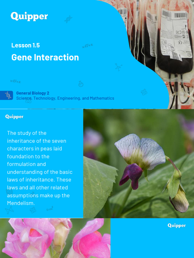 CDSI_GB2 12 PPT5- Gene Interactiong | PDF | Dominance (Genetics ...