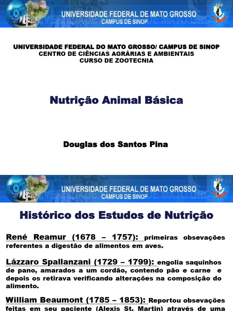 Nutrição Animal Básica | PDF | Ruminante | Digestão