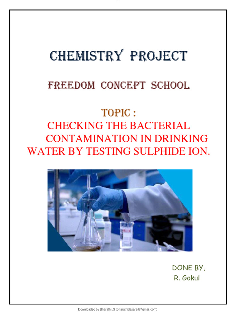 Chemistry Project 1-1 | PDF | Water | Sulfide