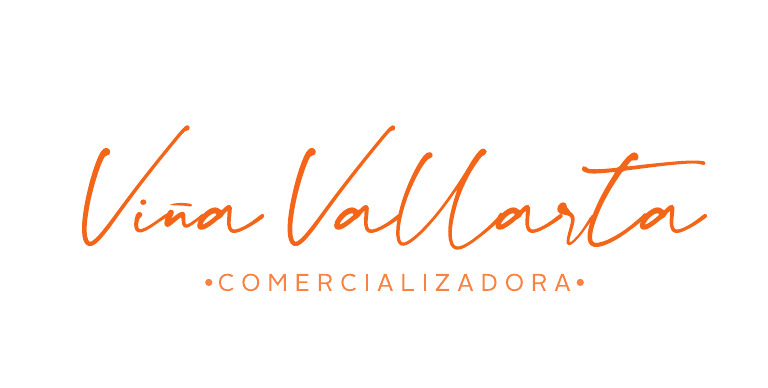 Vinža Vallarta Logo | PDF
