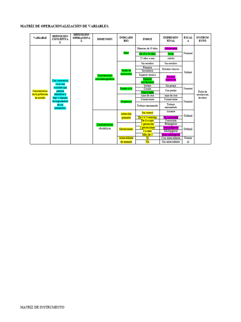Matriz de Variables Sociodemográficas | PDF