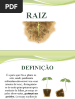 Raízes Adventícias: Exemplos e Funções | PDF | Raiz | Morfologia vegetal