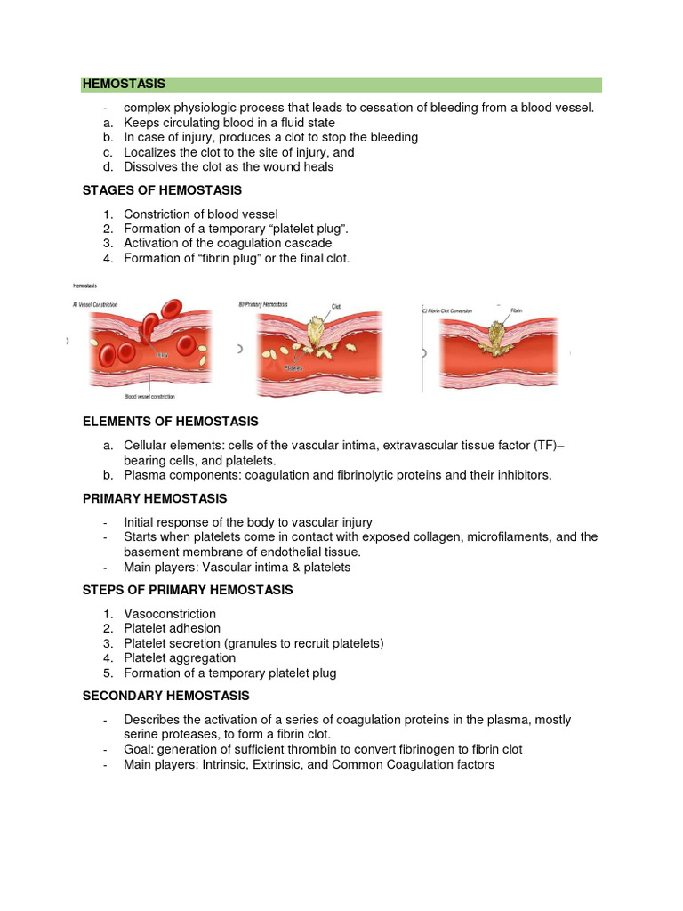 HEMOSTASIS | Download Free PDF | Coagulation | Platelet