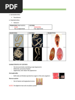 Parasitology Egg Identification Guide | PDF