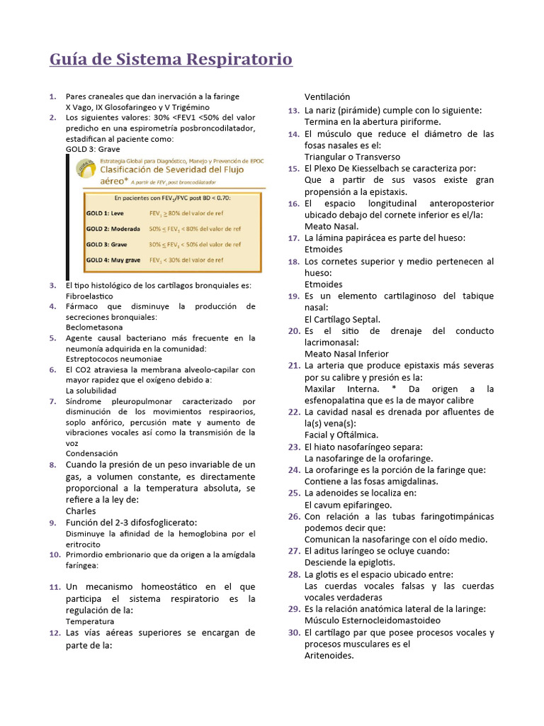 Respi | PDF | Órgano (anatomía) | Sistema nervioso