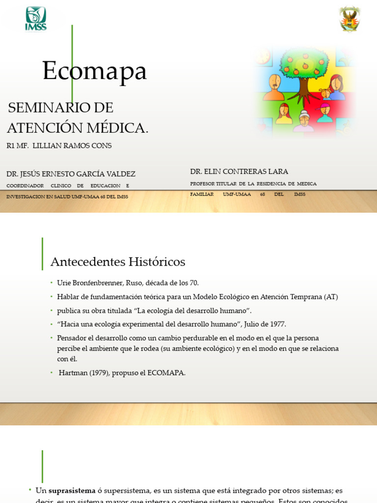 Ecomapa | PDF
