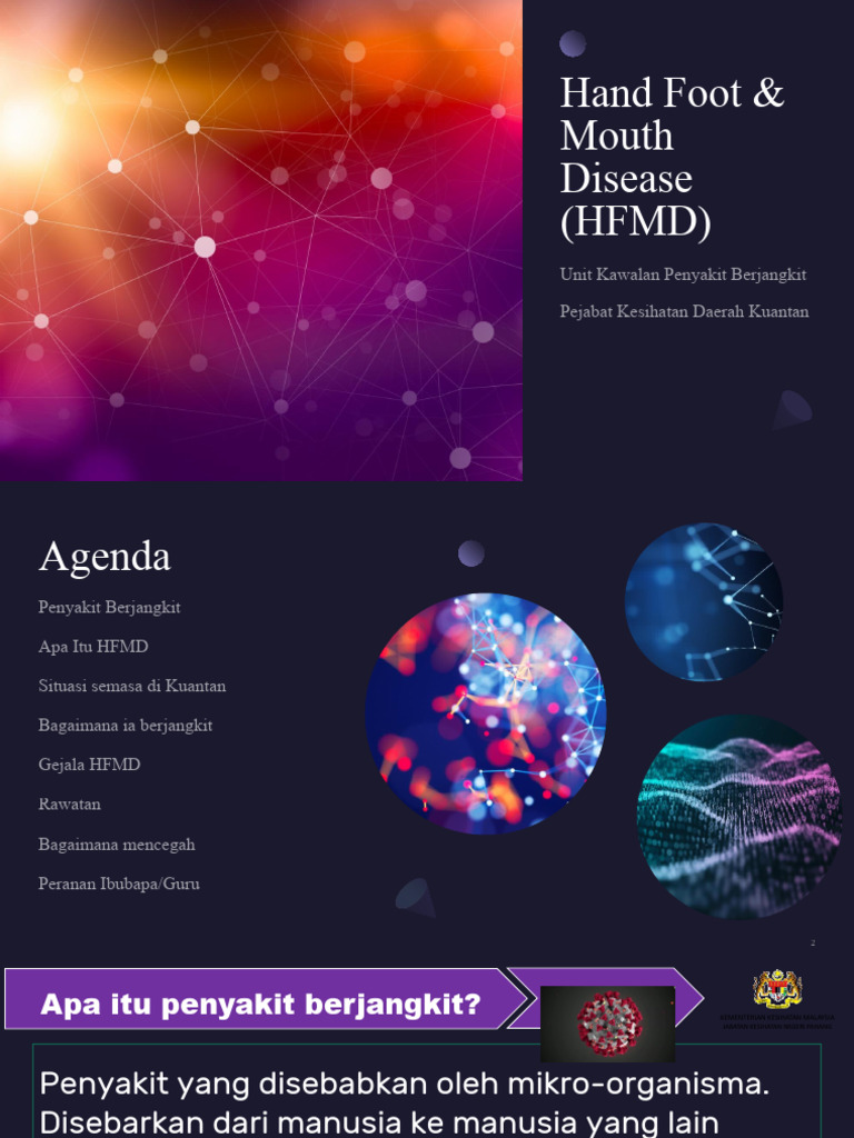 Hand Foot & Mouth Disease (HFMD) Presentation For SK SG Soi | PDF