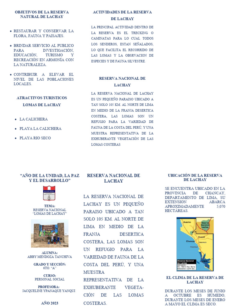 Triptico Lomas de Lachay | PDF | Naturaleza | Entorno natural