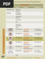 Wild Cat Family List by Lineage - Family | PDF | Felidae | Panthera